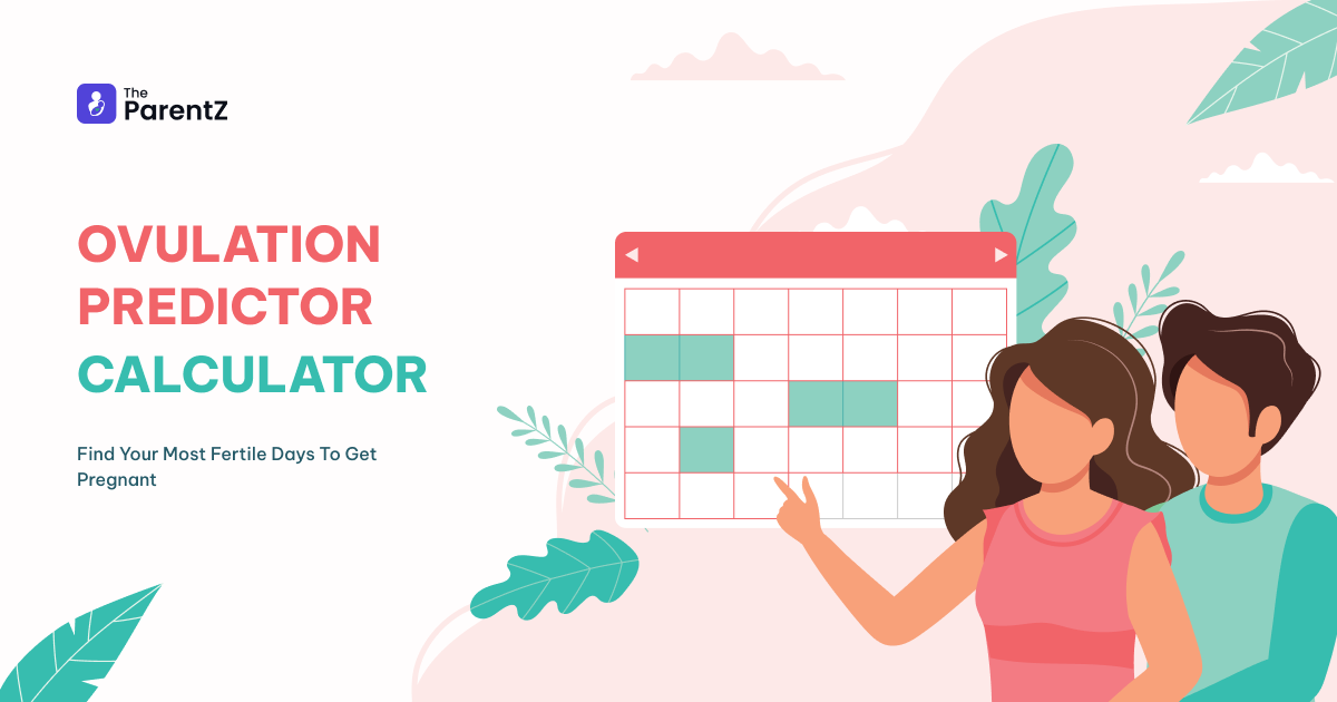 Period and Ovulation Calculator | The ParentZ