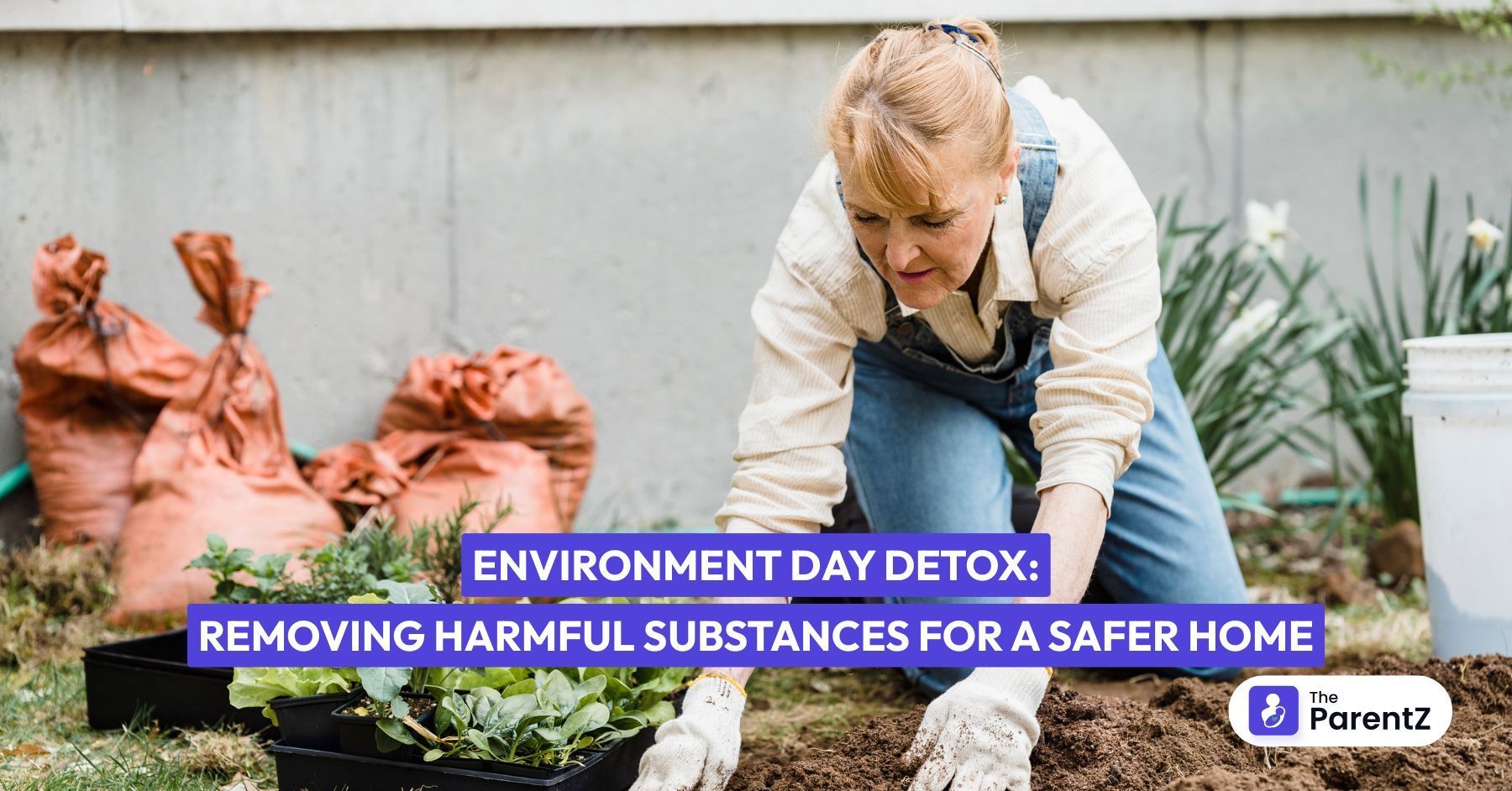 Environment Day Detox: Removing Harmful Substances for a Safer Home