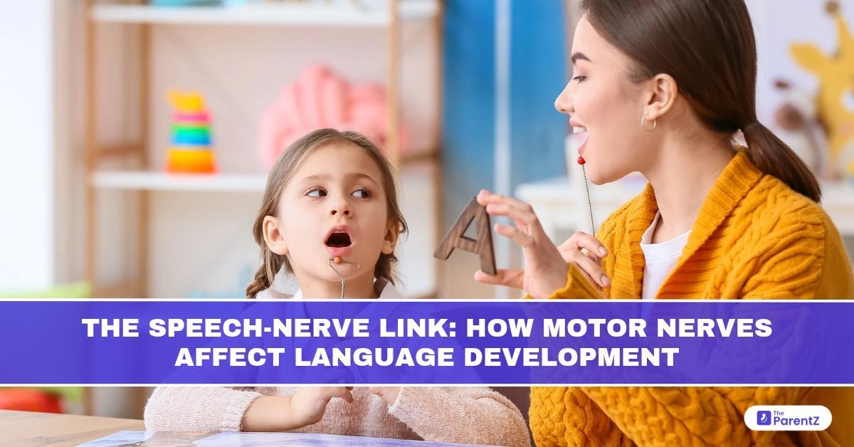 The Speech-Nerve Link: How Motor Nerves Affect Language Development