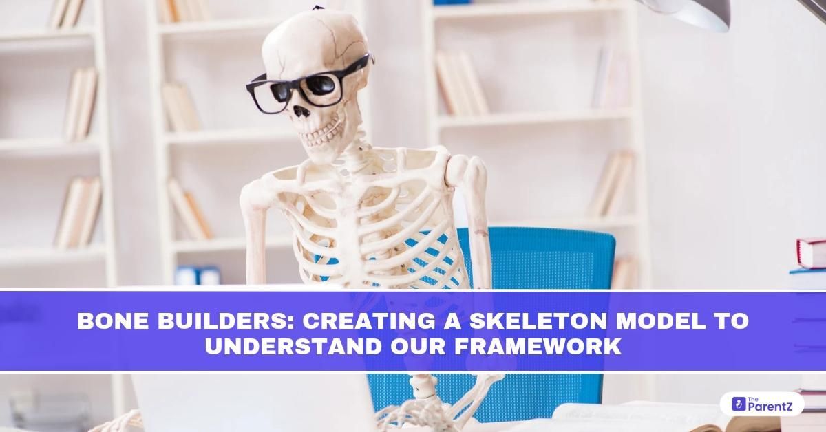 Bone Builders: Creating A Skeleton Model To Understand Our Framework