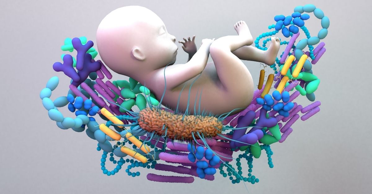 5 Amazing Benefits You Should Know About Baby Probiotics - The ParentZ