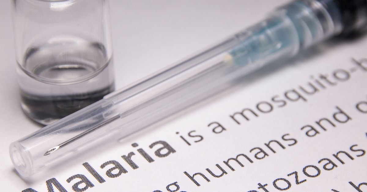 Overview of Malaria | The ParentZ