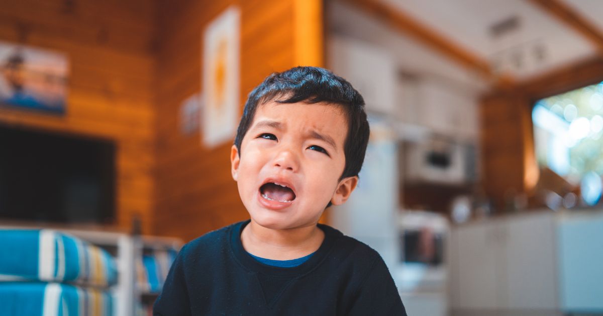 Understanding the Psychology Behind Fake Crying and Tantrums in ...